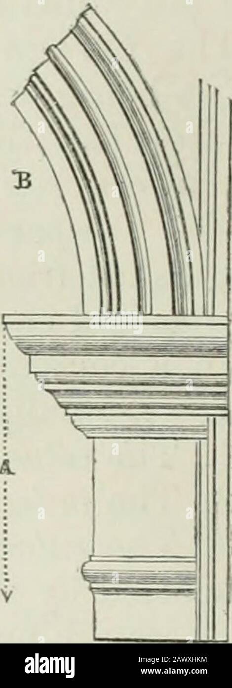 Grecian ovolo hi-res stock photography and images - Alamy