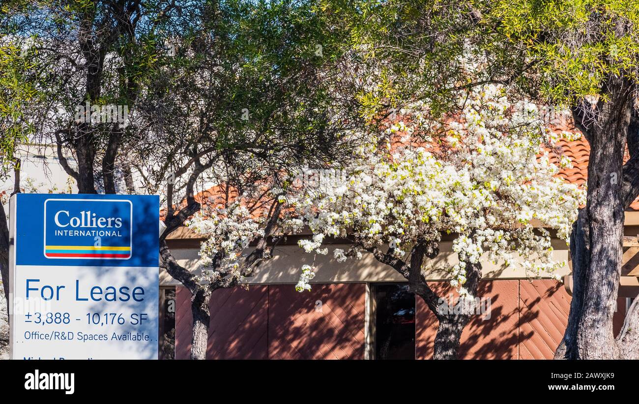 Colliers company logo hi-res stock photography and images - Alamy