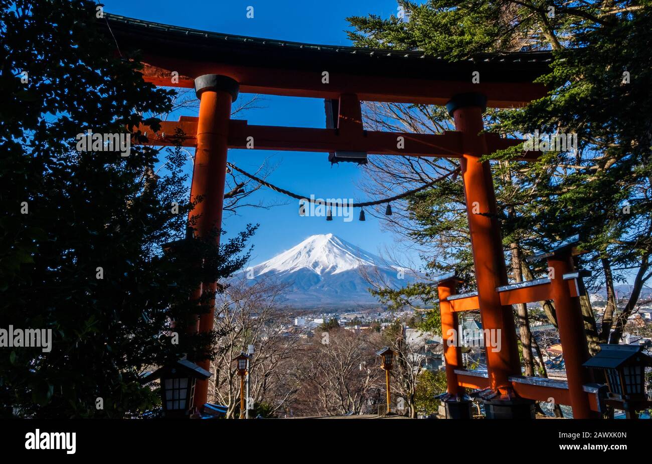View of Mount Fuji with tree, torii, Fuji san in Japanese, Mount Fuji's ...