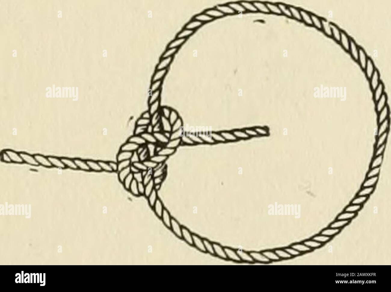 Thus render harmless hi-res stock photography and images - Alamy