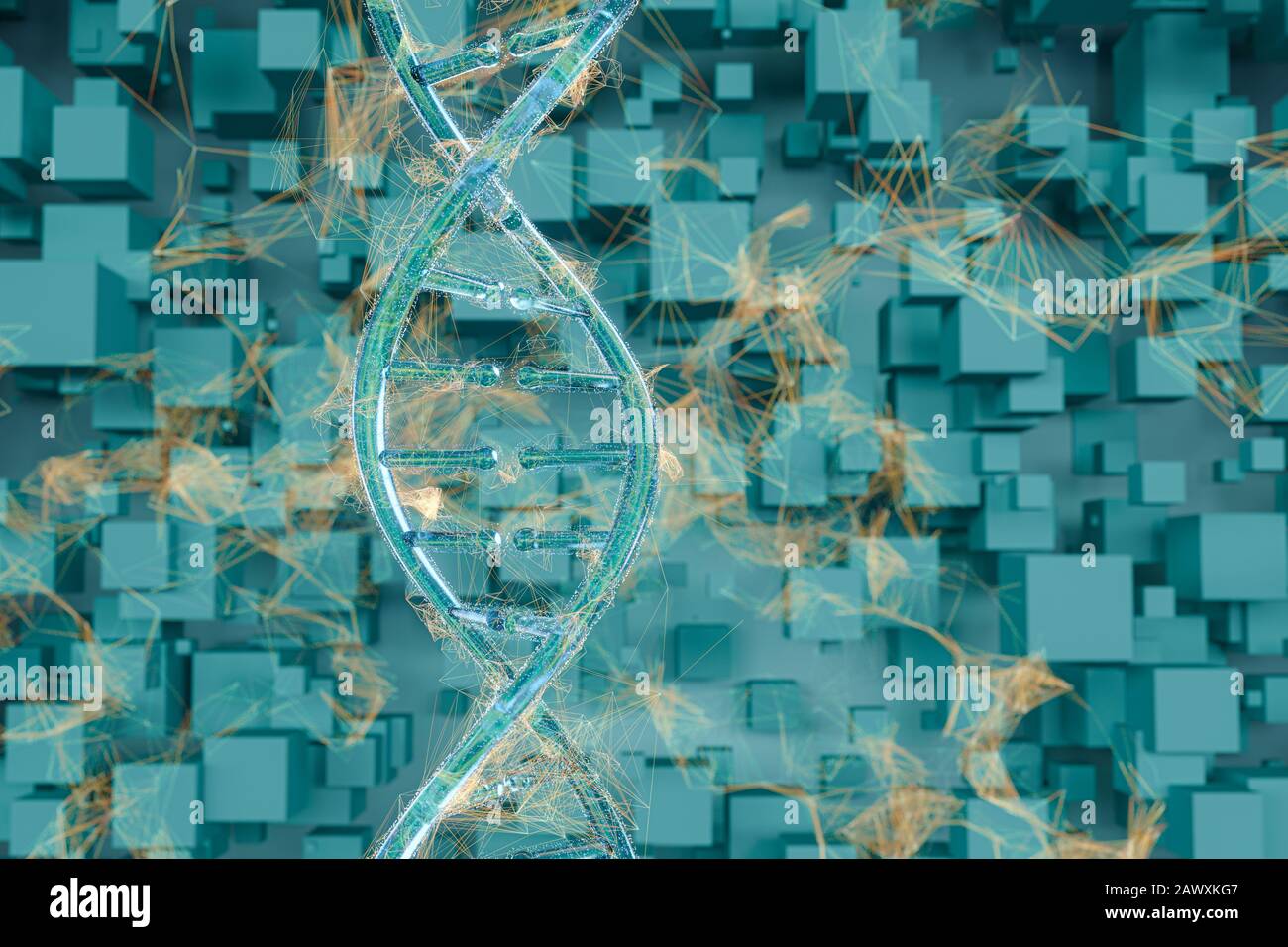 DNA and chromosomes,genes and inheritance,3d rendering. Computer ...