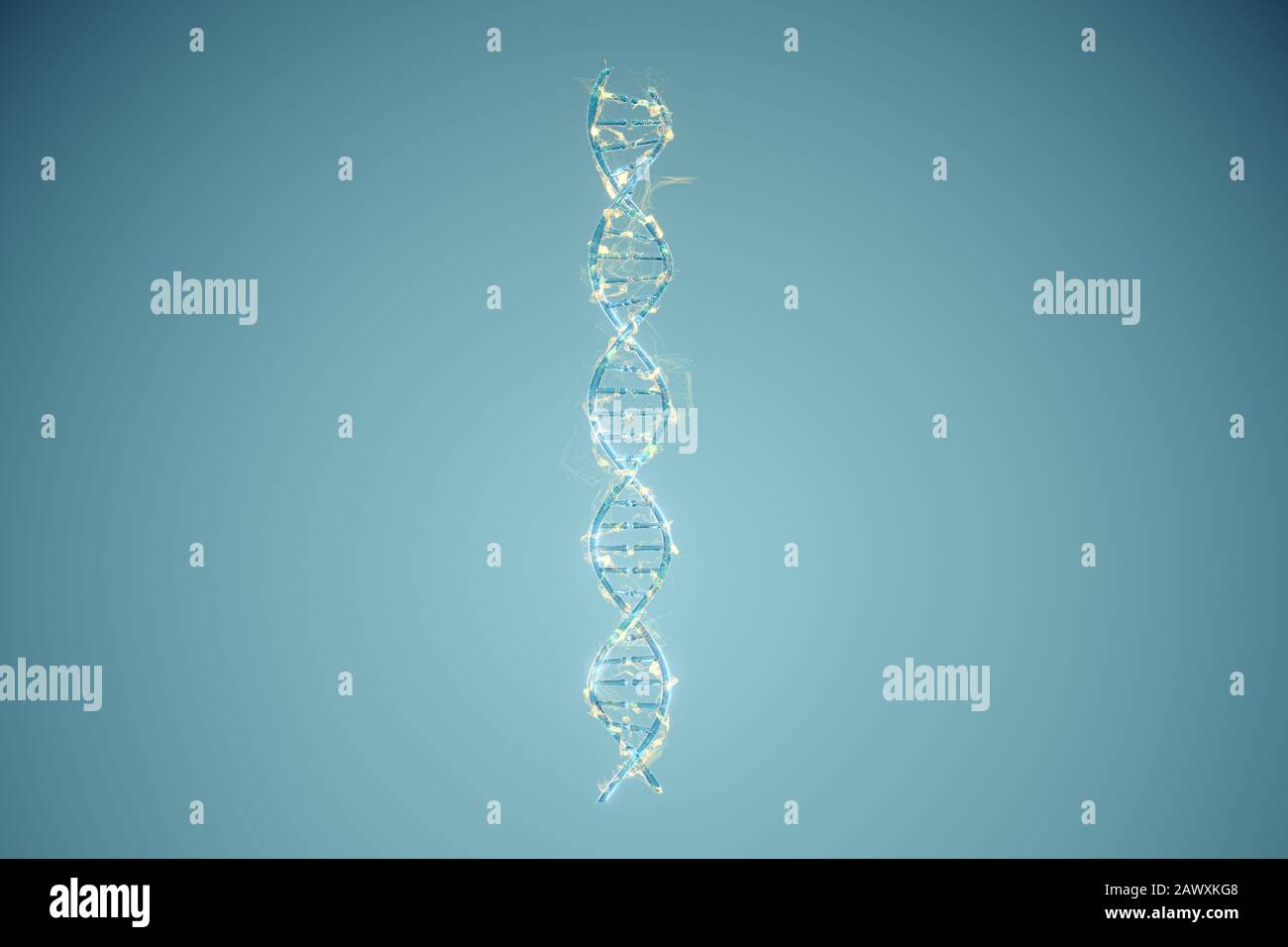 DNA and chromosomes,genes and inheritance,3d rendering. Computer ...
