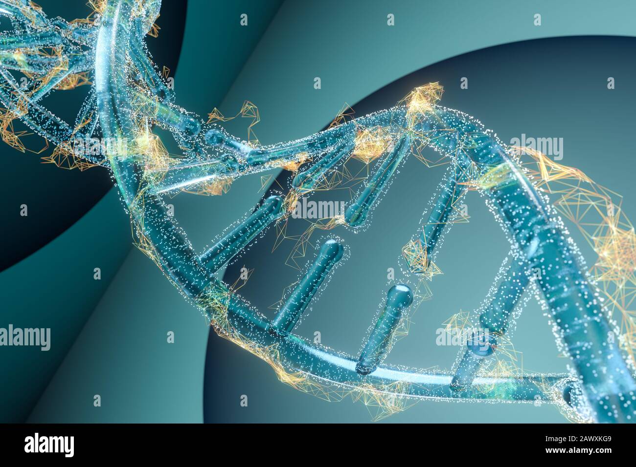 Chromosomes visual hi-res stock photography and images - Alamy