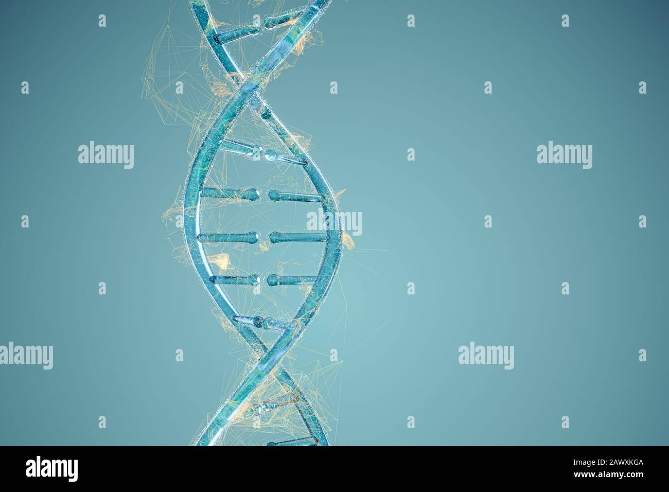 Chromosomes visual hi-res stock photography and images - Alamy