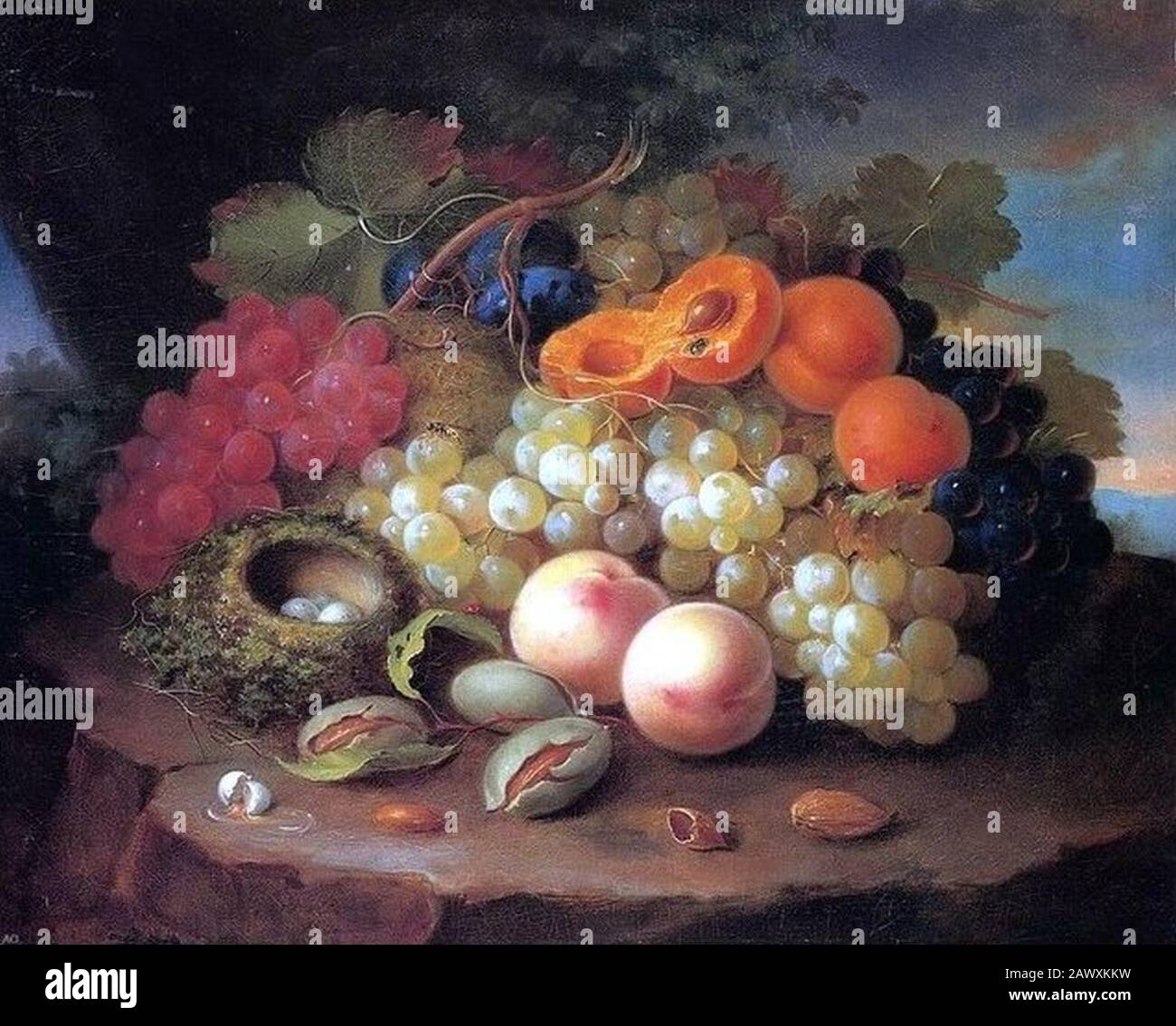 Still Life with Fruit and Bird's Nest by George Forster Stock Photo - Alamy