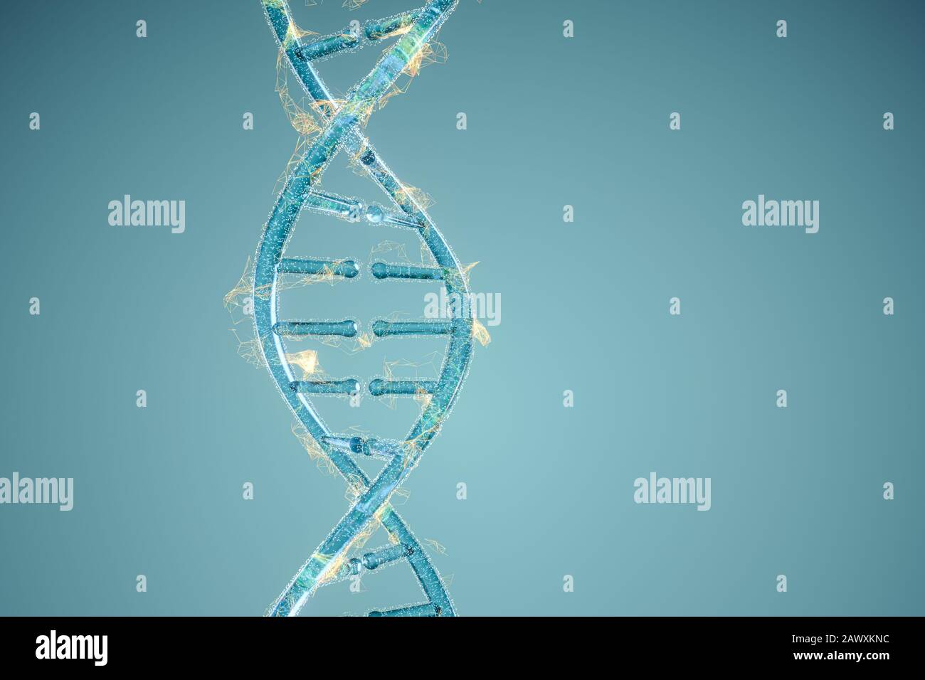 DNA and chromosomes,genes and inheritance,3d rendering. Computer ...