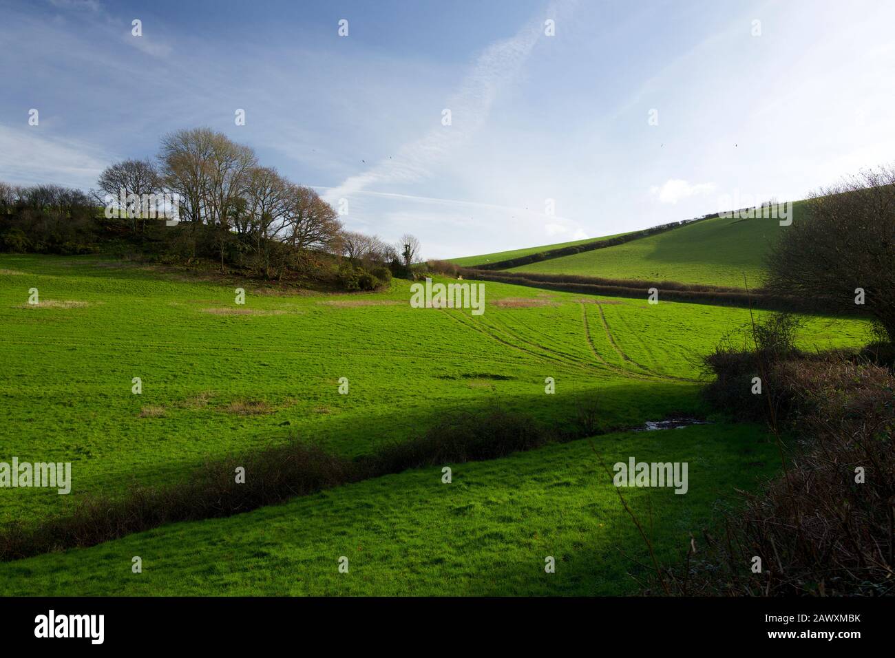 Landscape in South Devon, UK Stock Photo - Alamy