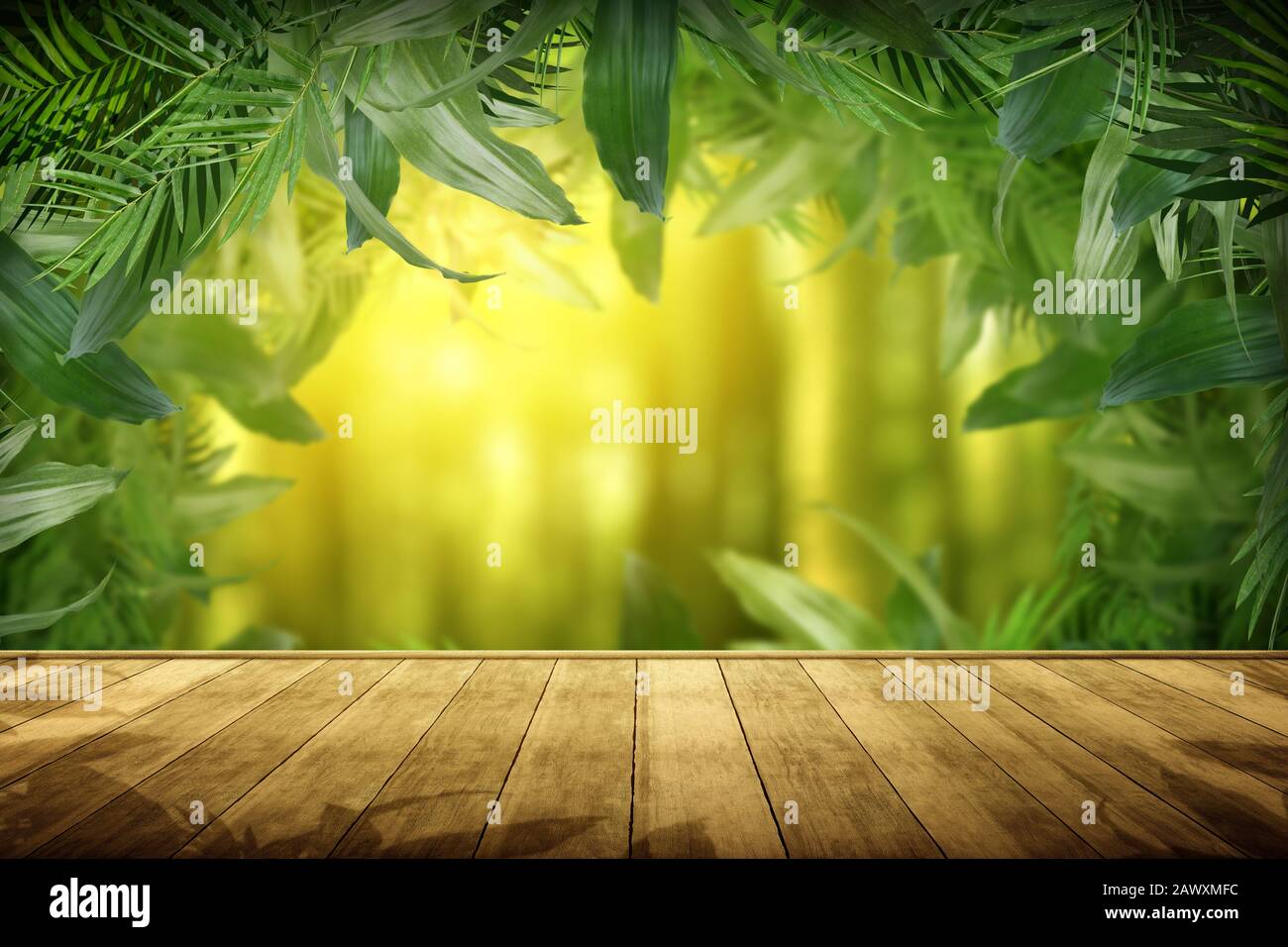 Wooden path with tropical green leaves over sunlight background Stock ...
