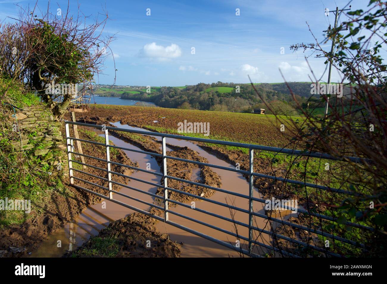 Waterlogged farmland, South devon, UK Stock Photo - Alamy