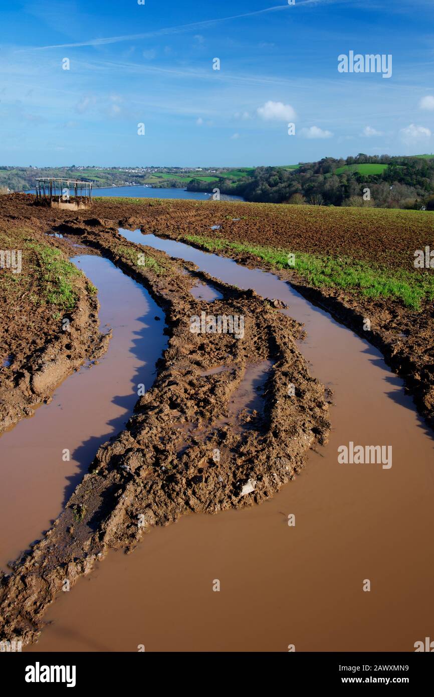 Waterlogged field hi-res stock photography and images - Alamy