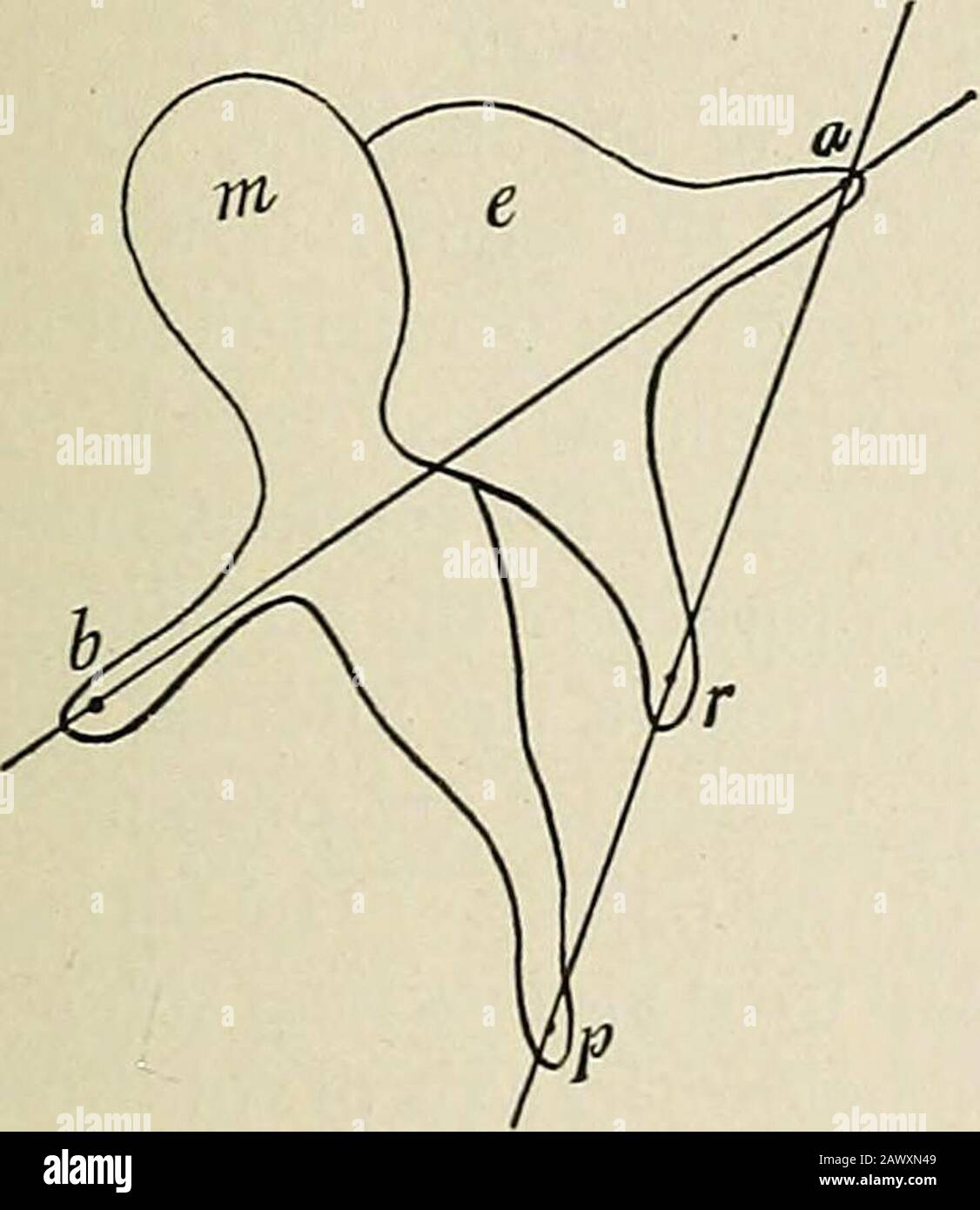 Anterior ligament of malleus hi-res stock photography and images - Alamy