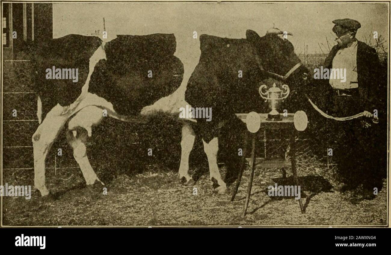 Live stock : a cyclopedia for the farmer and stock owner including the ...