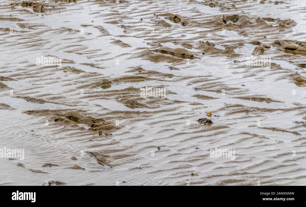 coastal closeup showing some mudflat and silt Stock Photo - Alamy