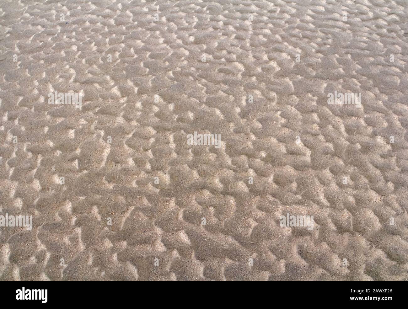 Close up on beach particles hi-res stock photography and images - Alamy