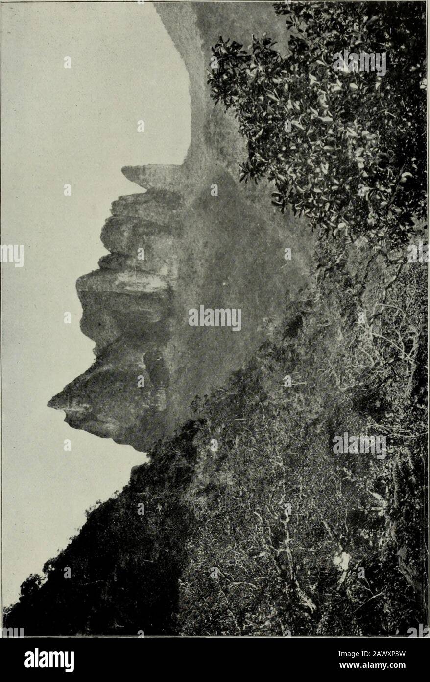 Eastern Pacific lands ; Tahiti and the Marquesas islands . of the ...