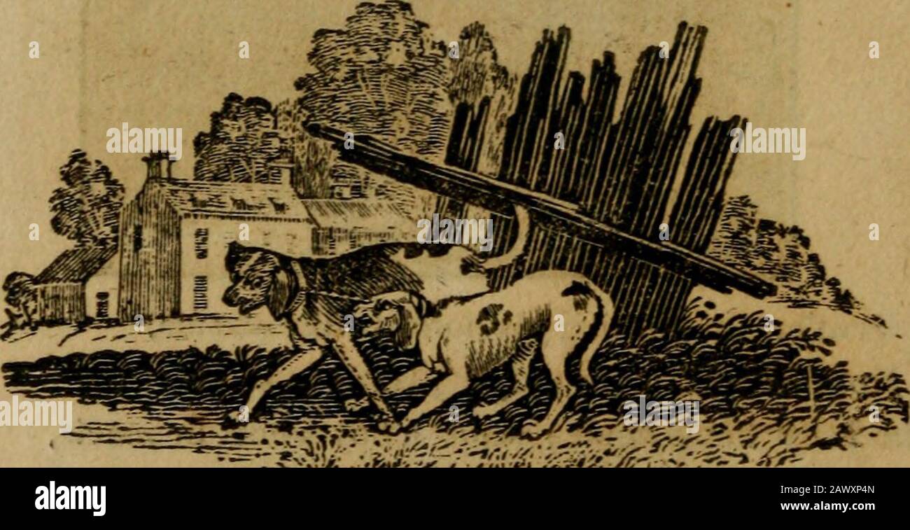 Proverbs in verse, or, Moral instruction conveyed in pictures for use ...