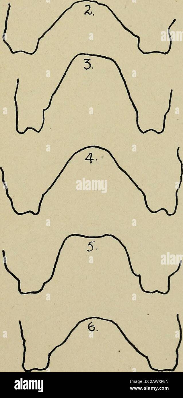 The etiology of osseous deformities of the head, face, jaws and teeth ...
