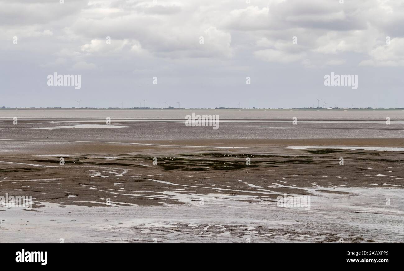 coastal impression of Spiekeroog, one of the East Frisian Islands at ...