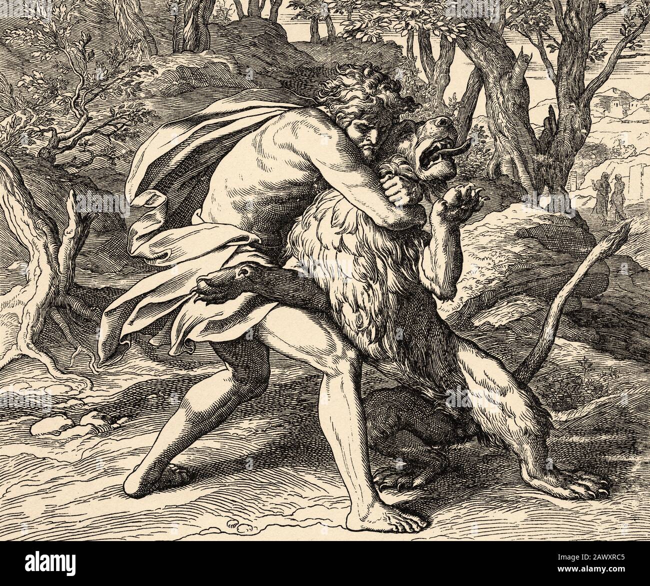 Samsons fights with the lion and kills him. Judges Book. Sacred ...