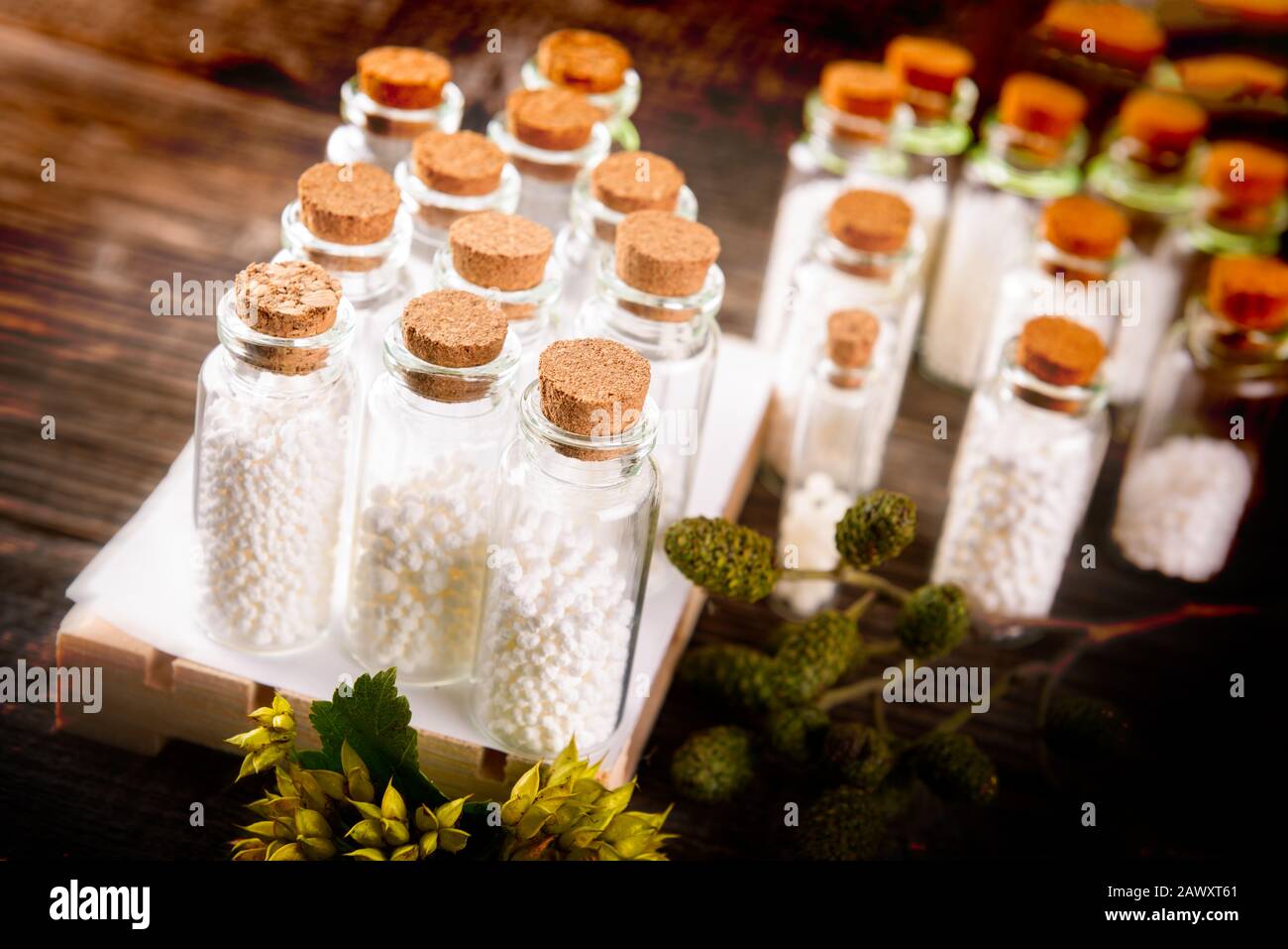 Homeopathic lactose sugar globules in glass bottles with plants Stock ...