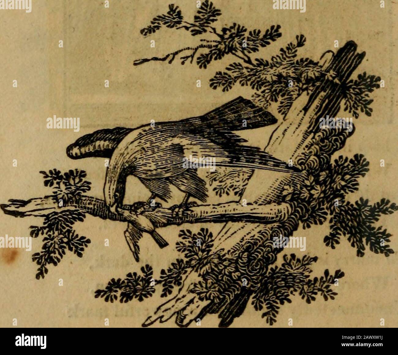 Proverbs in verse, or, Moral instruction conveyed in pictures for use ...