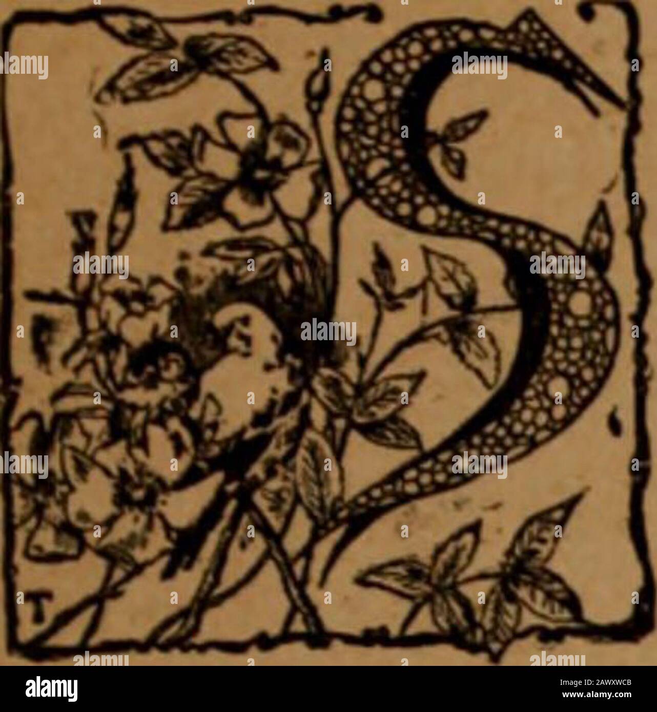 Albert rowe hi-res stock photography and images - Alamy