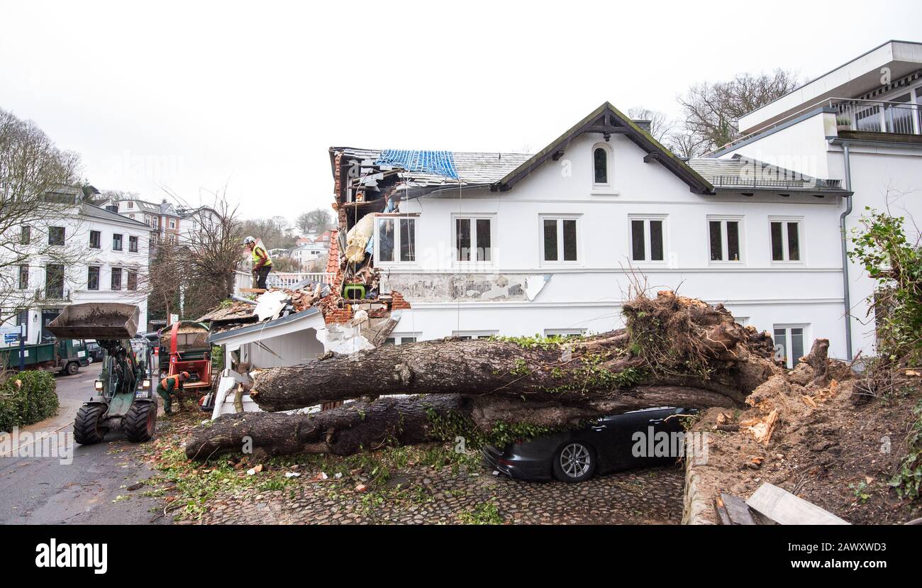 Hamburg, Germany. 10th Feb, 2020. A fallen tree lies on a car in the ...