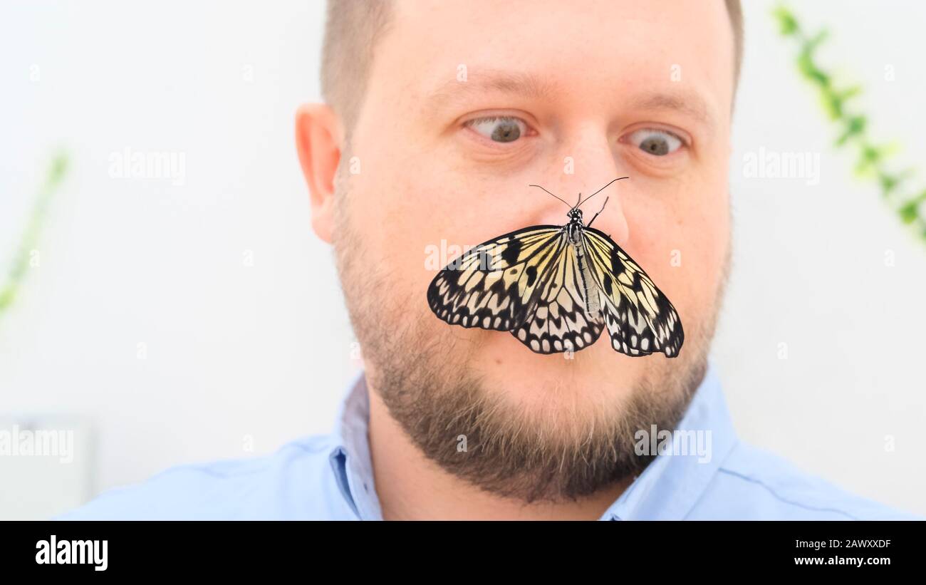 large brown butterfly sits on the nose of a male face, close-up. Copy ...