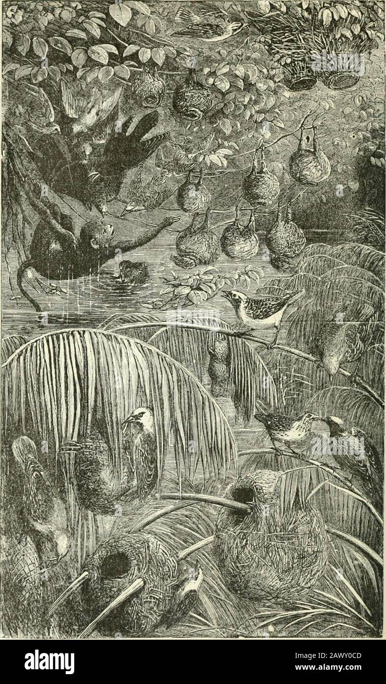 Interwoven ball hi-res stock photography and images - Alamy