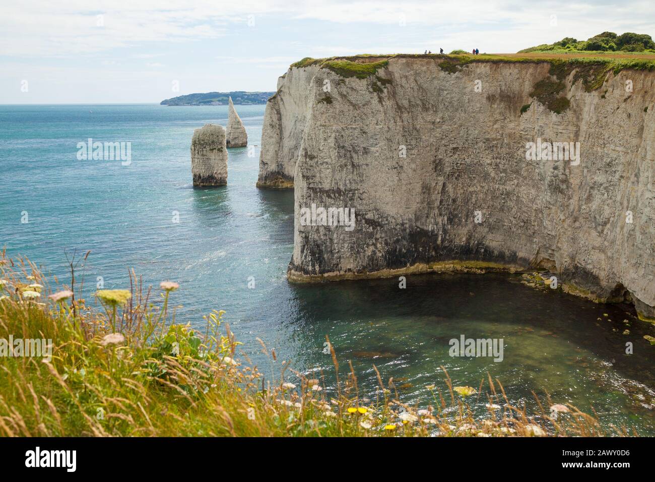 Chalk stack at Old Harry Rocks, Dorset, England Stock Photo - Alamy Chalk stack at Old Harry Rocks, Dorset, England Stock Photo - Alamy
