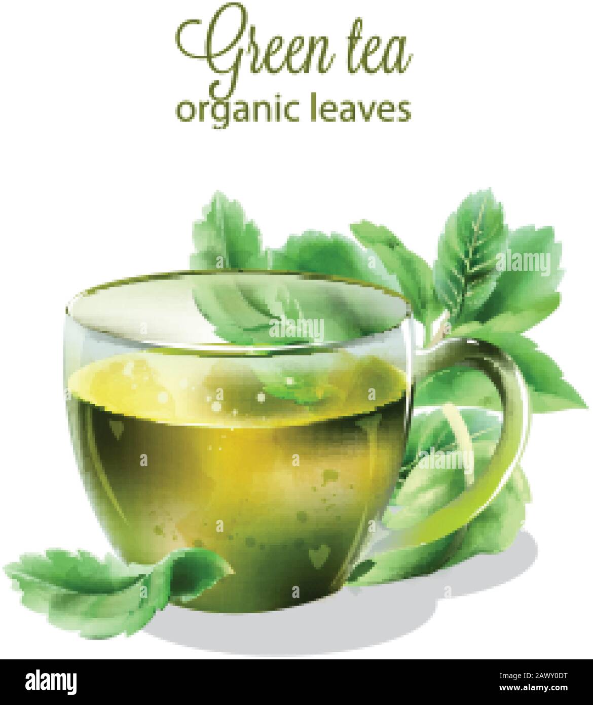 Organic green tea in transparent cup with mint leaves. Watercolor ...