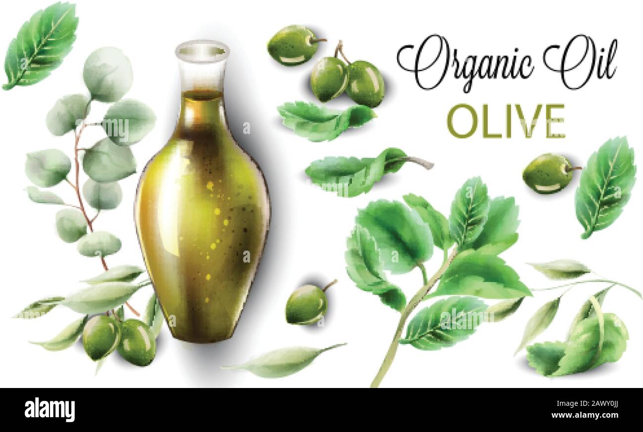 Organic olive oil in abstract shape glass. Composition with green mint ...