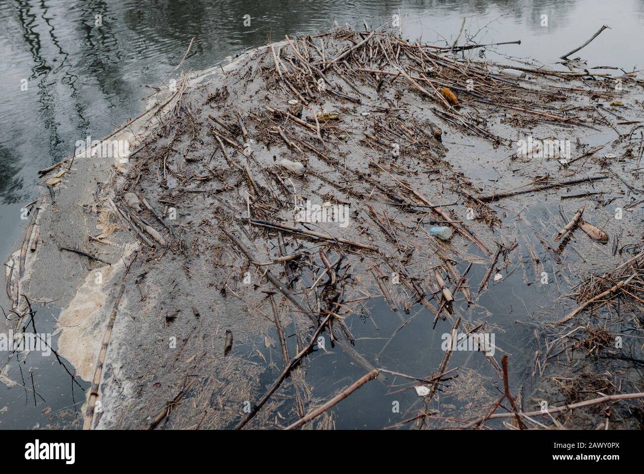 Garbage floating in dirty water. Environmental pollution Stock Photo ...