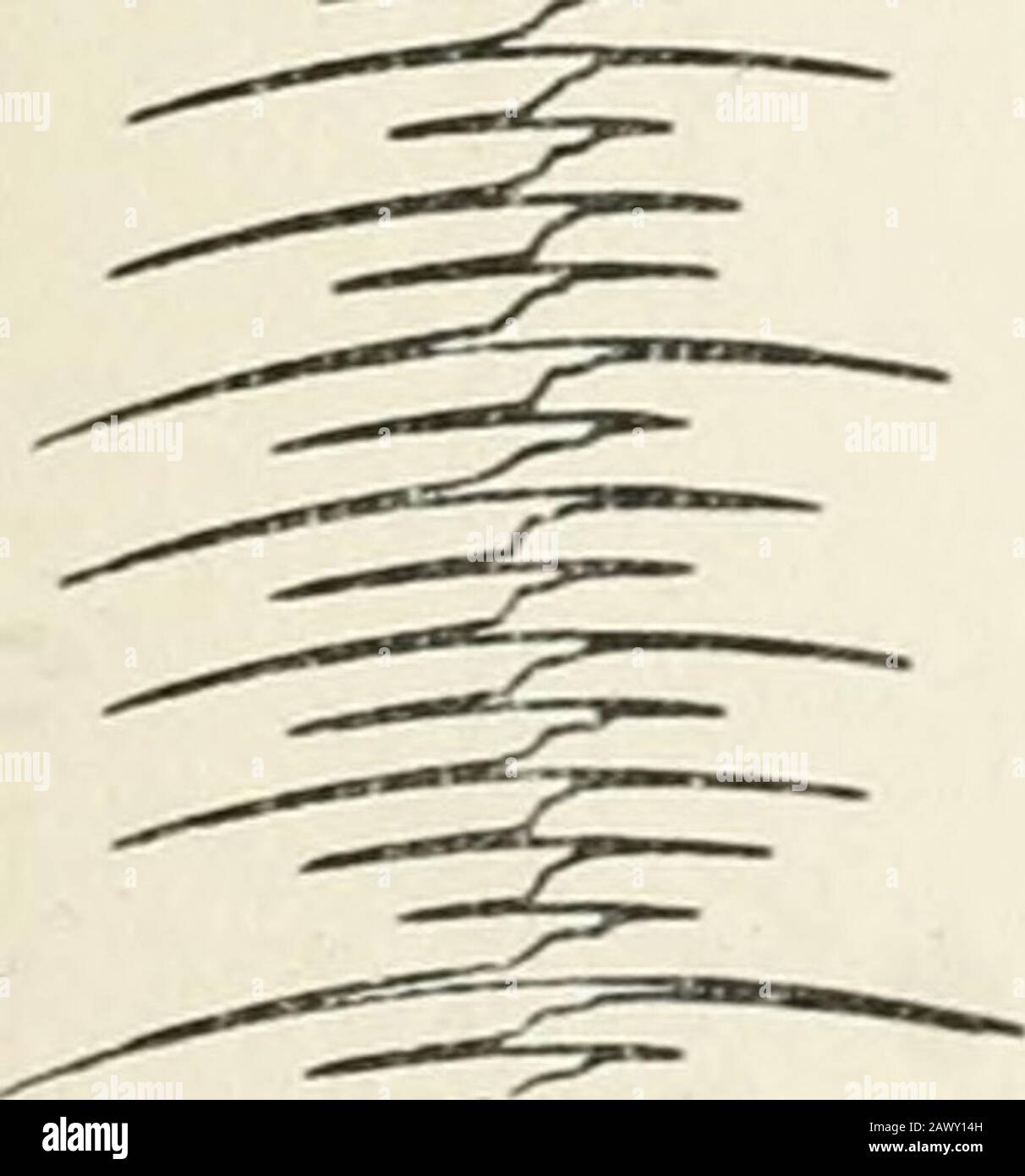 Archives of internal medicine Stock Photo - Alamy