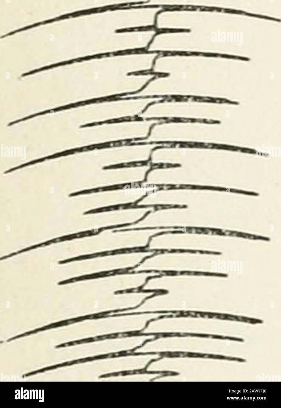 Archives of internal medicine . ^z Stock Photo - Alamy