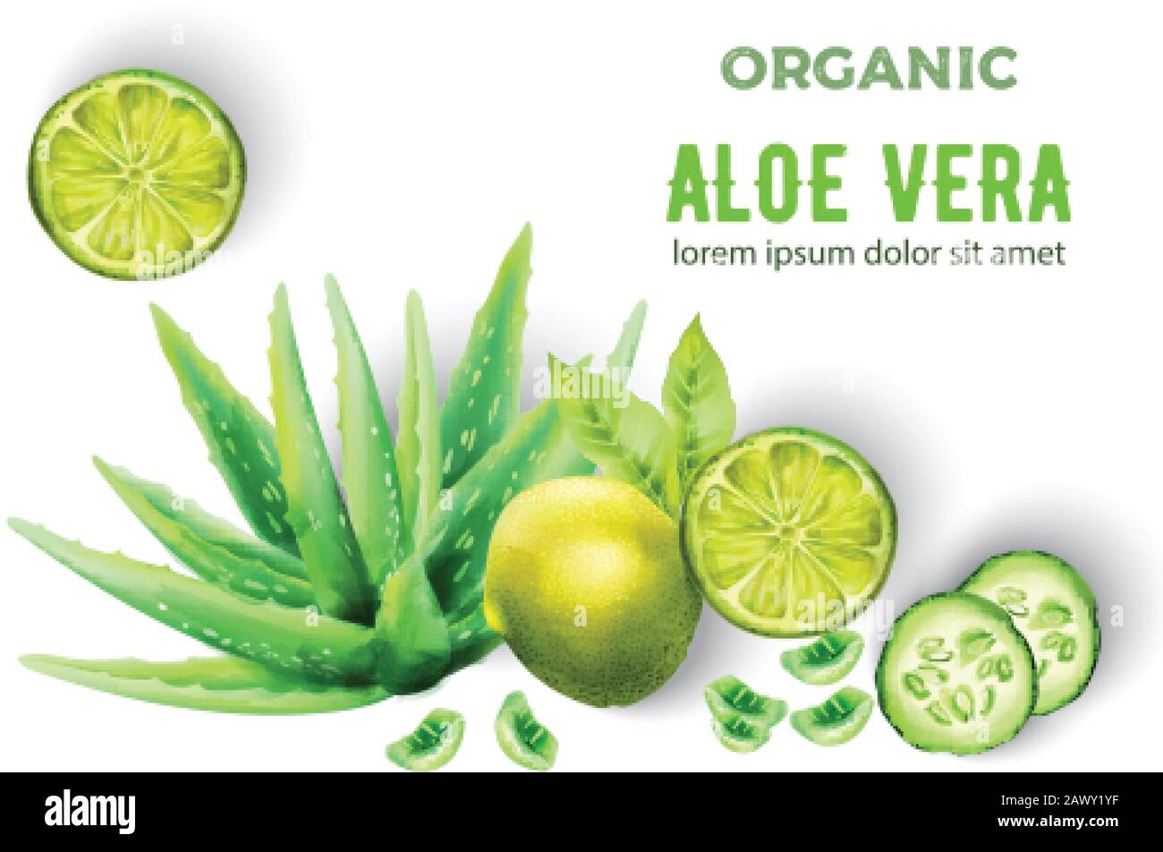 Organic Aloe Vera products. Lime and cucumber slices decorations. White ...