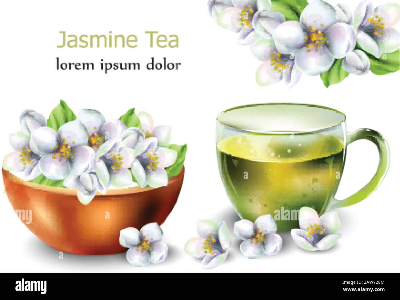 Jasmine tea isolated Stock Vector Images - Alamy