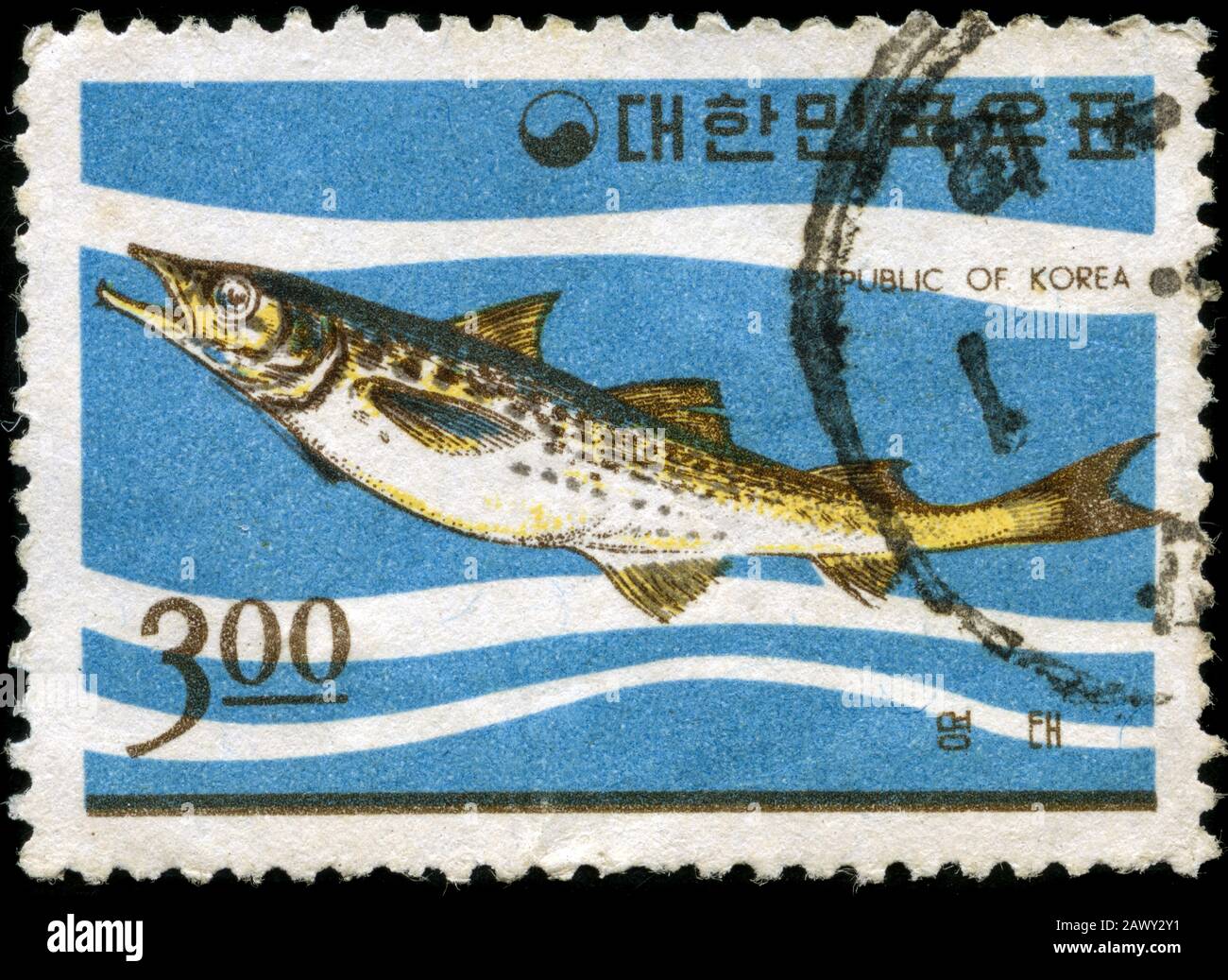 Alaska Pollock (Theragra chalcogramma Stock Photo - Alamy