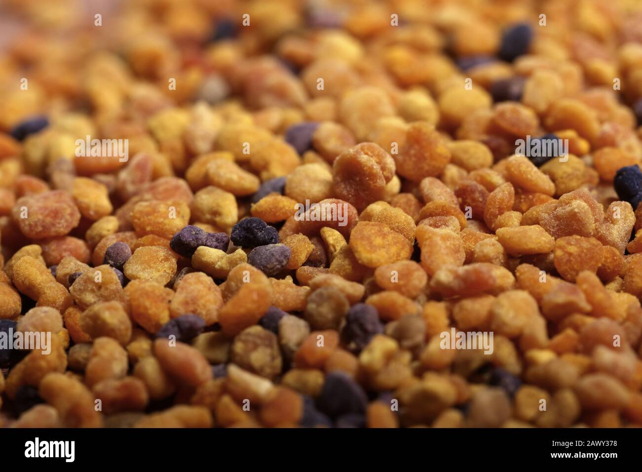 Pollen grains bee flower honey Stock Photo - Alamy