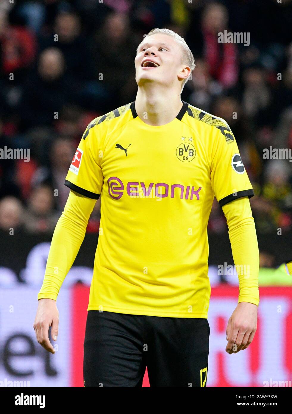 Erling haaland leverkusen hi-res stock photography and images - Alamy