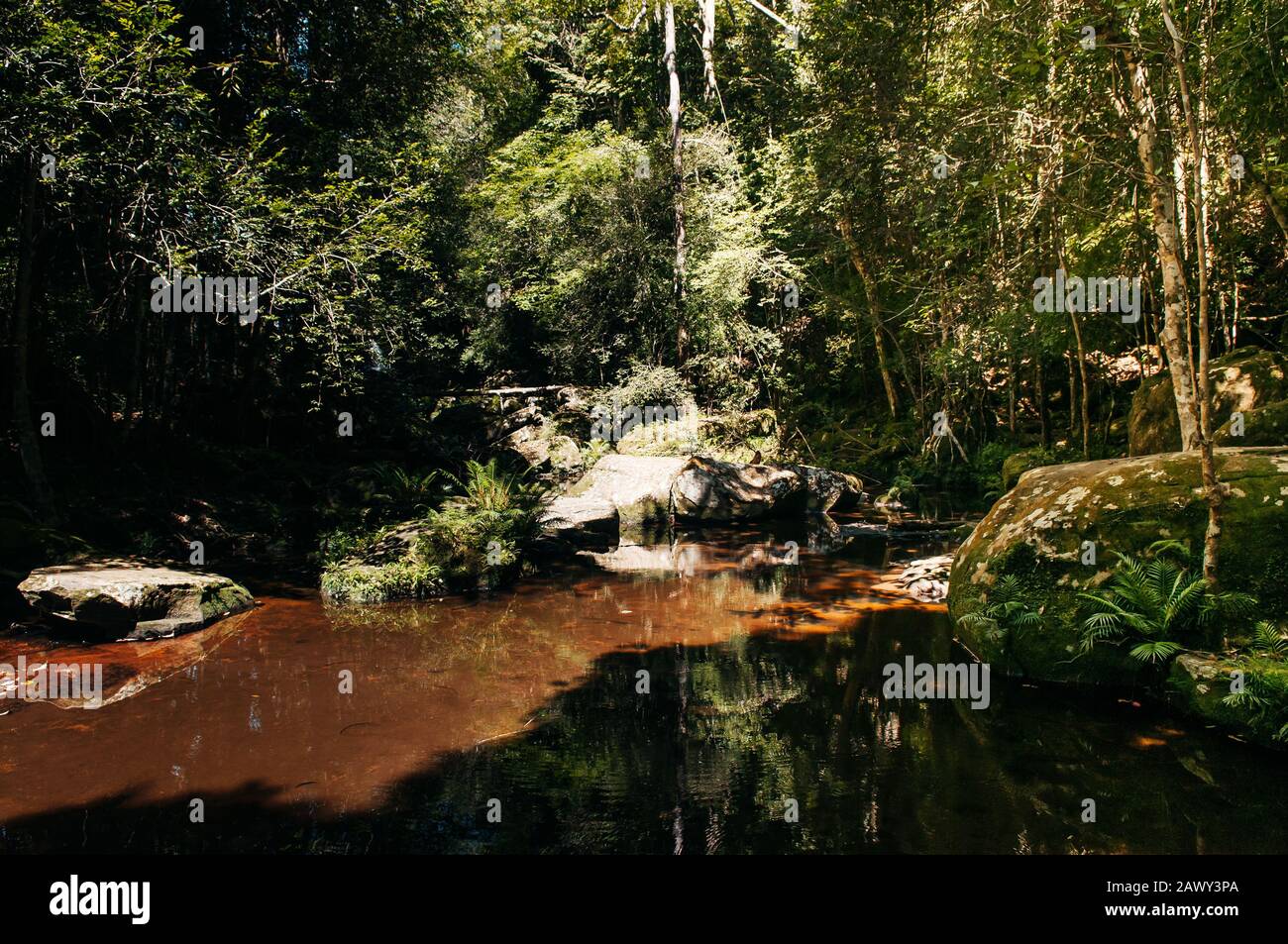 Beautiful silhouette High contrast shadow and curvy water stream in ...
