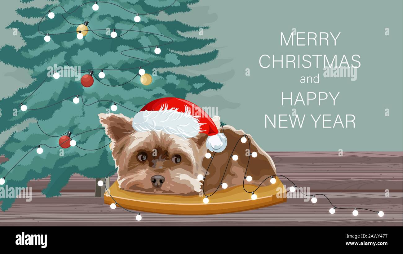 Merry Christmas Yorkie