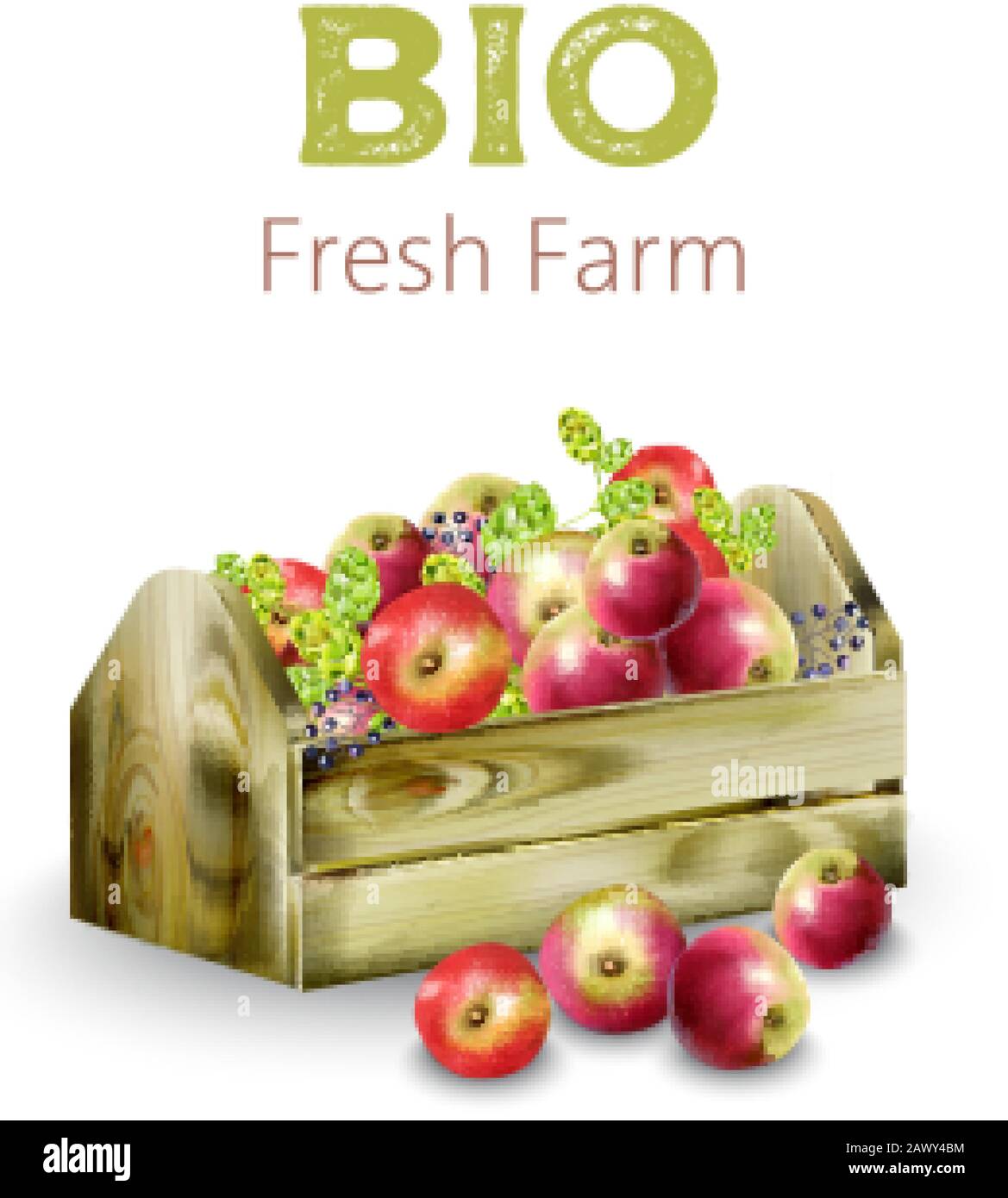 Bio fresh farm wooden box full of apples, artichokes and berries ...