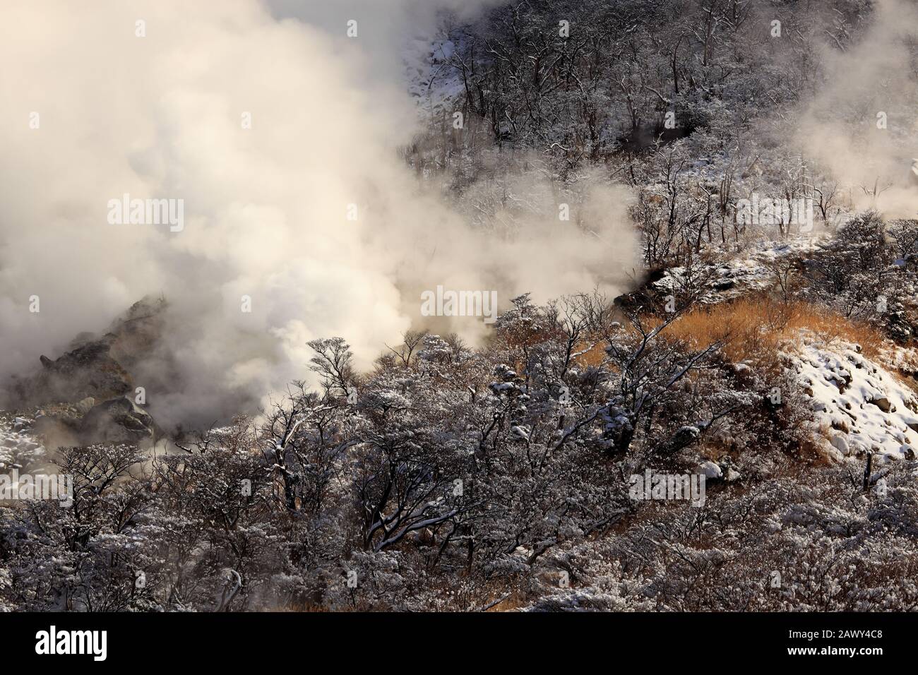 Hakone volcano in Japan Stock Photo - Alamy