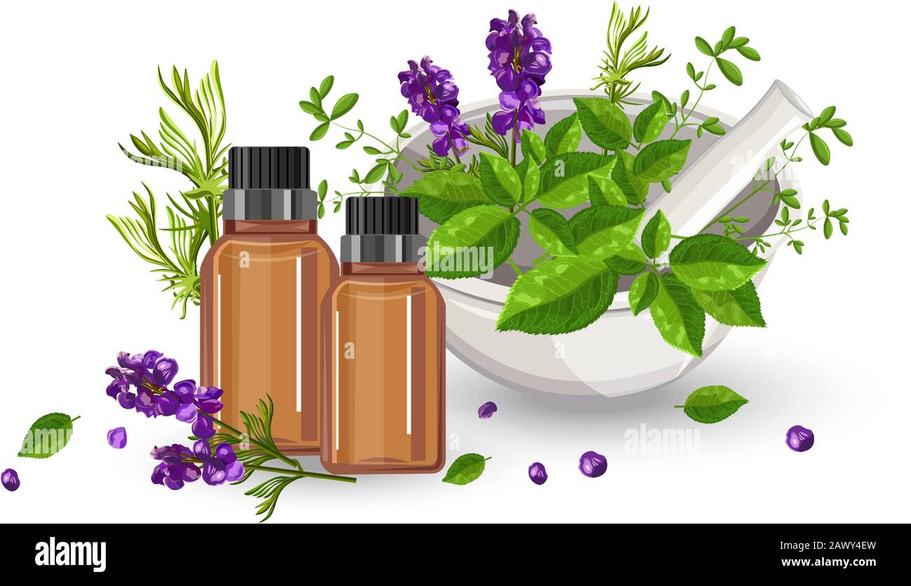 Eucalyptus Essential Oil Clip Art