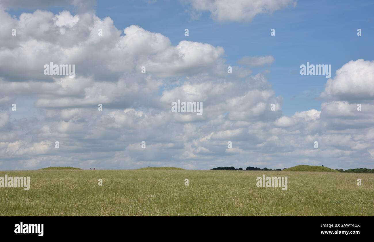 Salisbury Plain near Stonehenge, Wiltshire, UK Stock Photo - Alamy