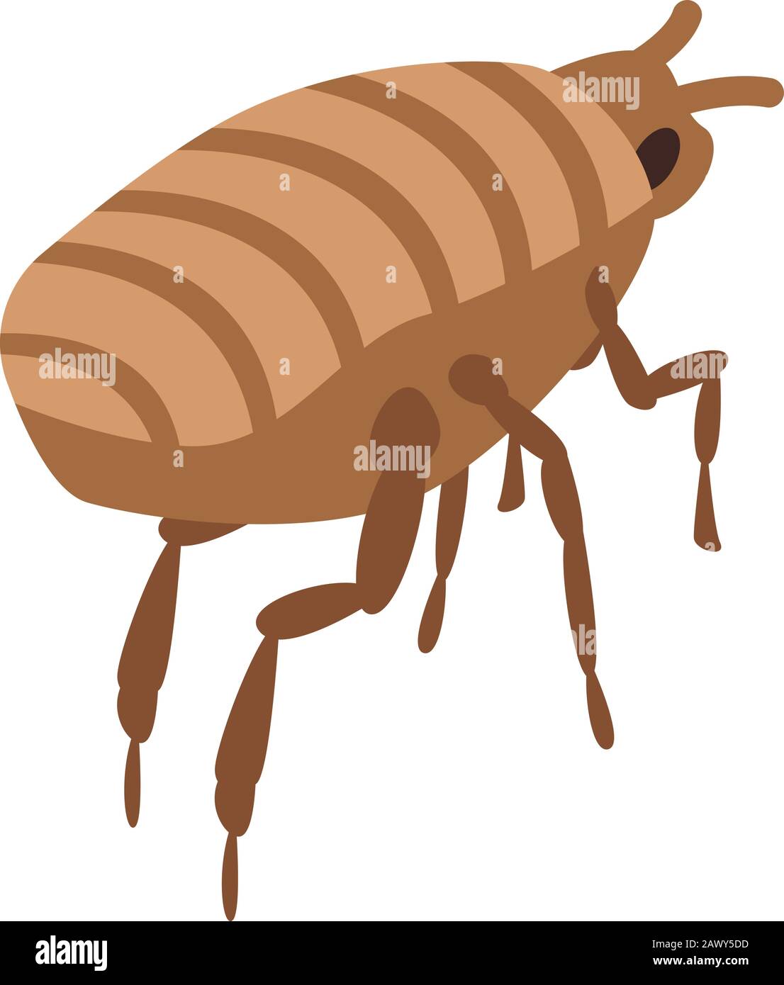 Parasitic mite infection of the skin Stock Vector Images - Alamy
