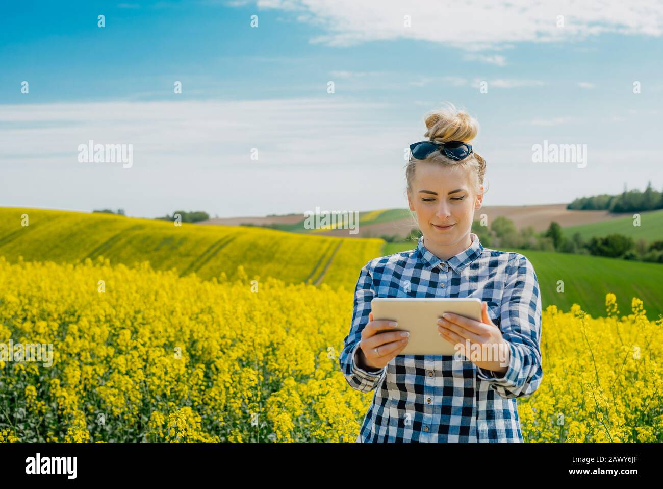 Agronomist examining crops using digital hi-res stock photography and ...