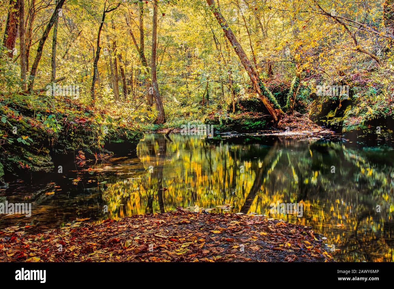 Calming and beautiful rivers hi-res stock photography and images - Alamy