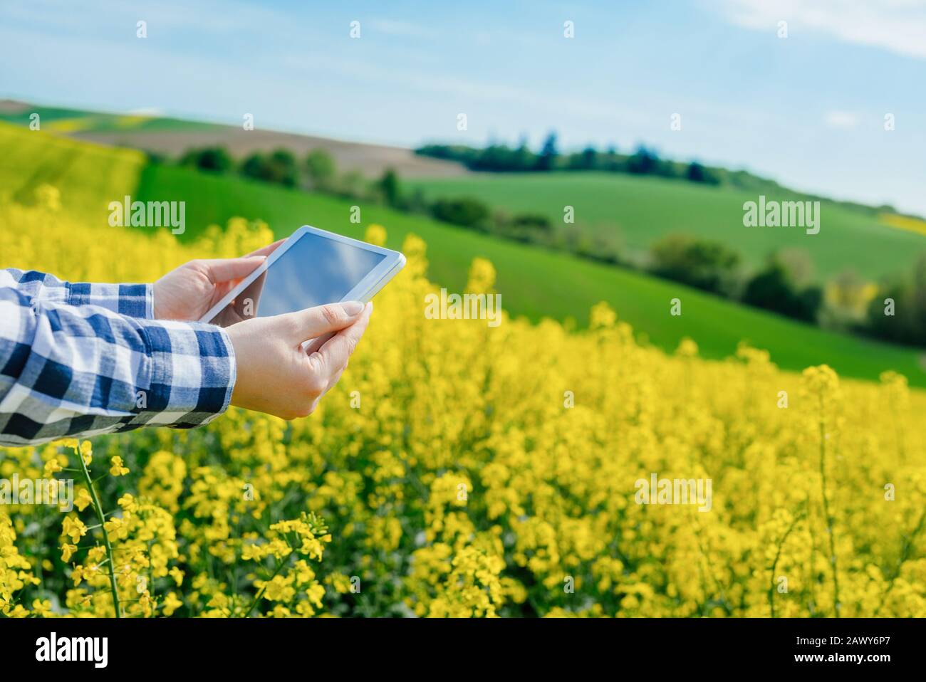 Agronomist examining crops using digital hi-res stock photography and ...